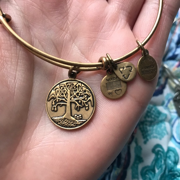 Alex and Ani | Jewelry | Authentic Alex And Ani Tree Of Life Bracelet ...